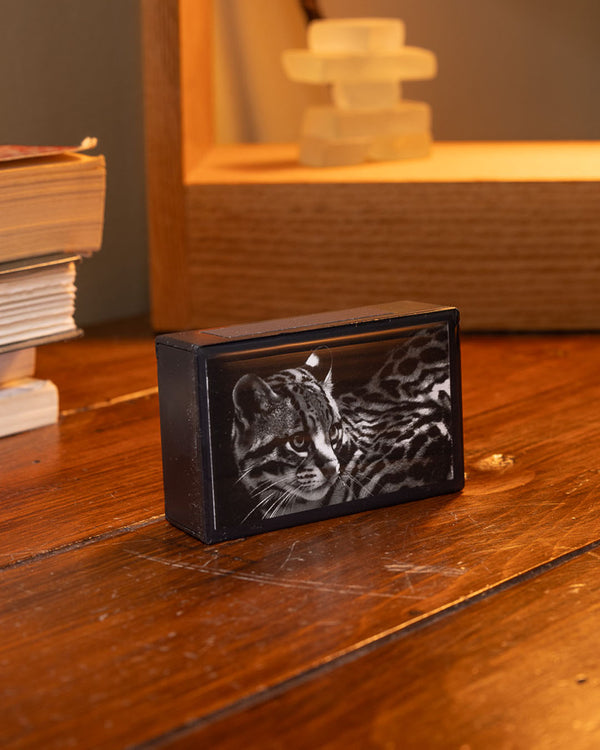 Decorative Matches | Tabletop Matchbox | Ocelot Artwork - SpiritHoods