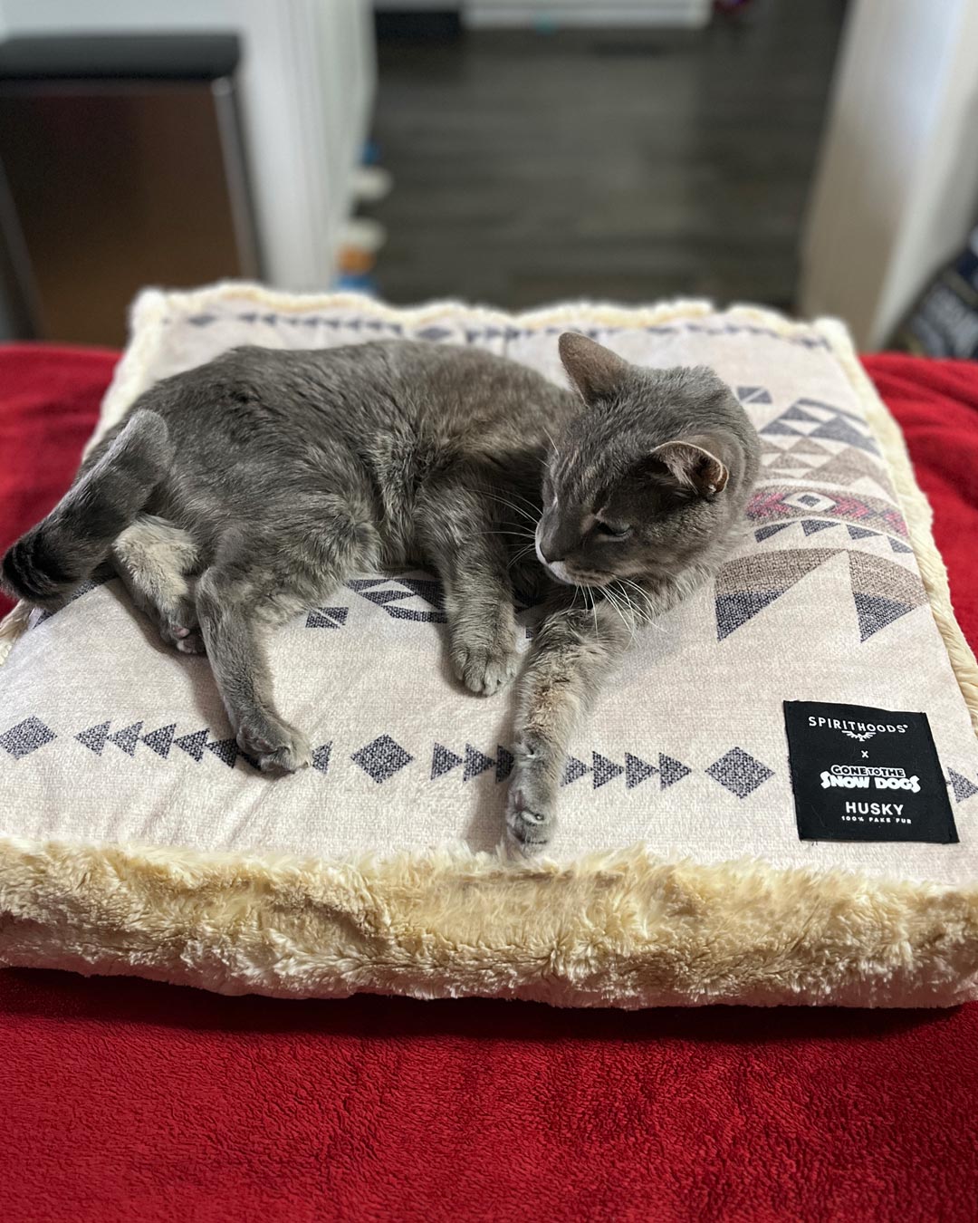 Gone To The Snow Dogs Special Edition Ultra Soft Pet Bed | Two Sizes ...