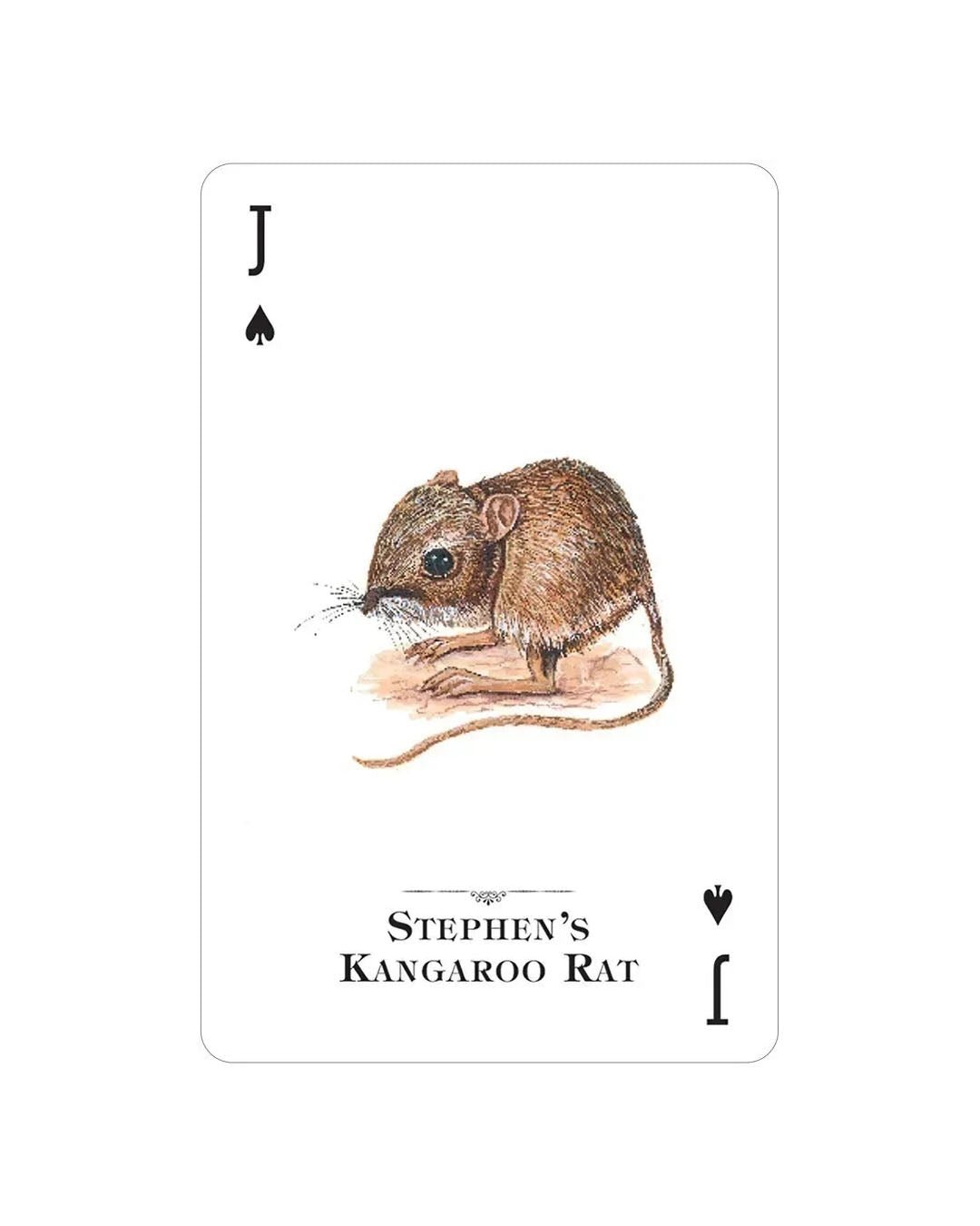 Endangered Species Playing Cards - SpiritHoods
