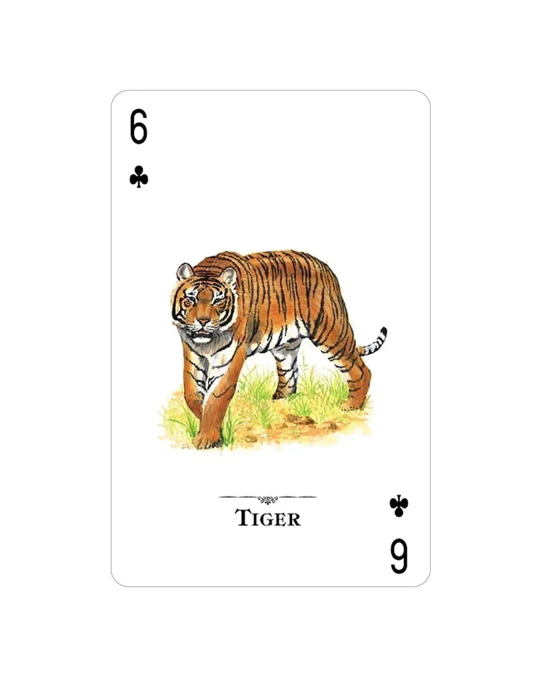 Endangered Species Playing Cards - SpiritHoods