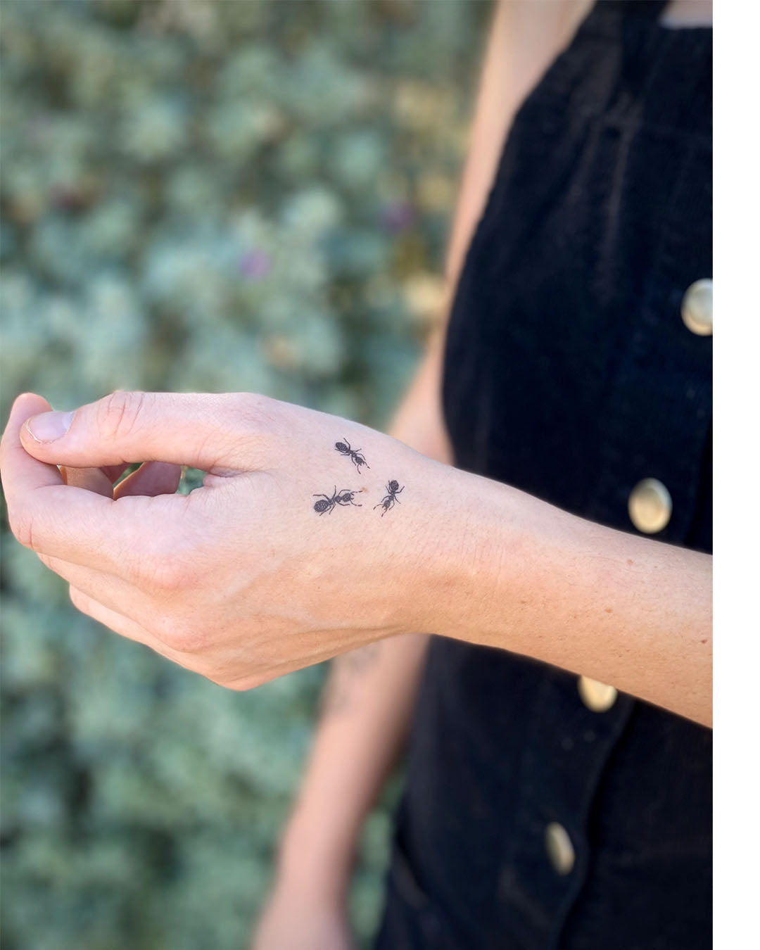 Coyote Desert Wild Temporary Tattoos - SpiritHoods