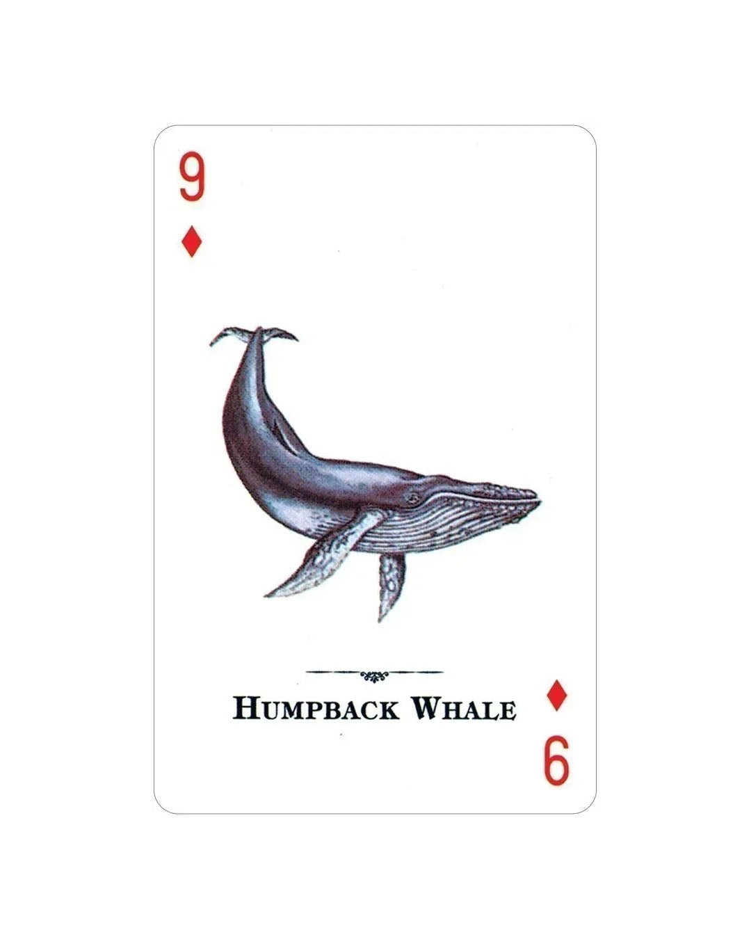 Endangered Species Playing Cards - SpiritHoods