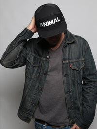Illuminate Your Style with LED Animal Snapbacks